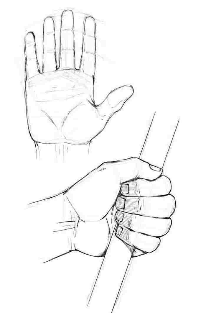 Hand Holding A Stick Drawing Reference And Sketches For Artists